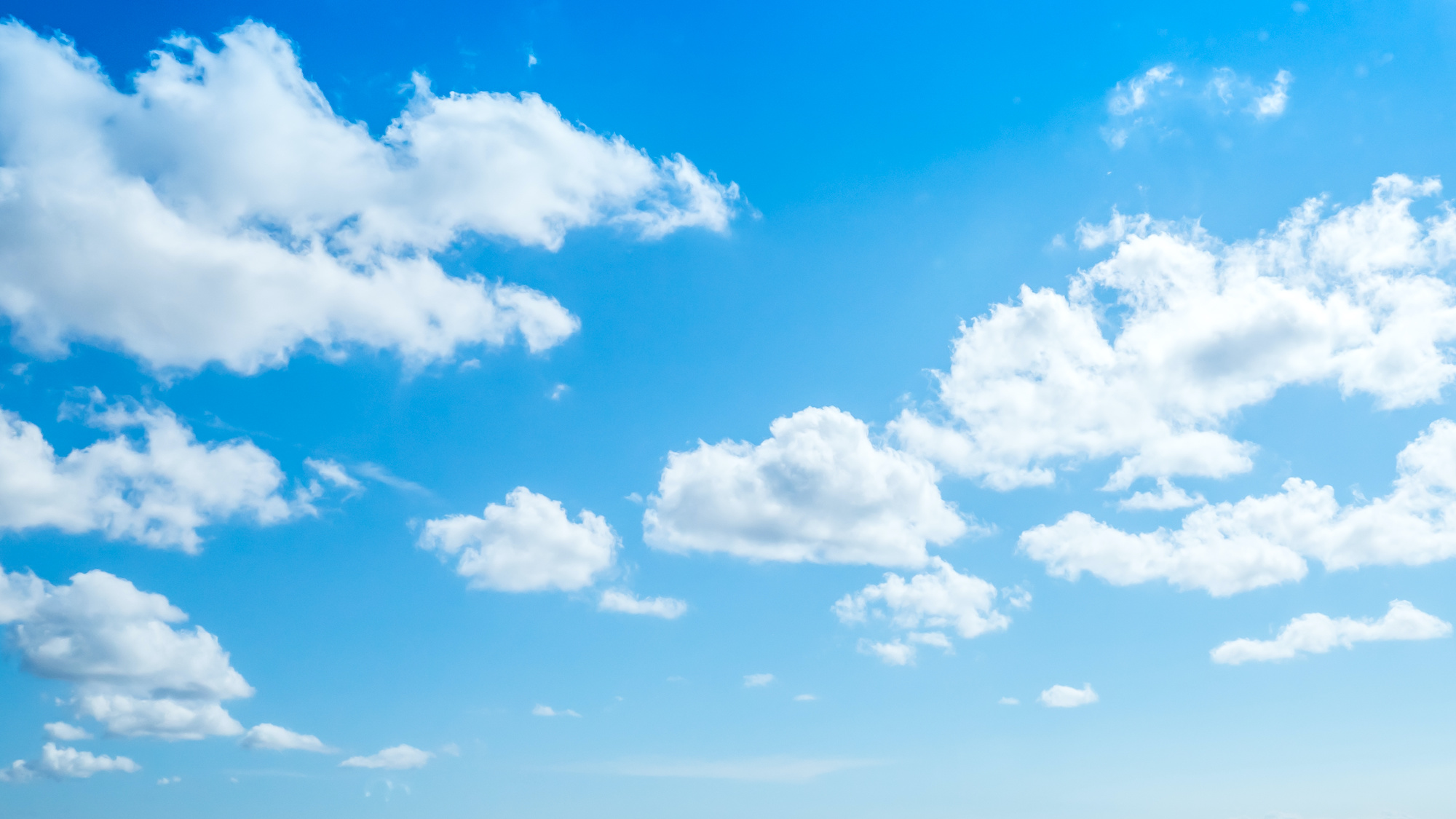 株式会社SORA公式サイト